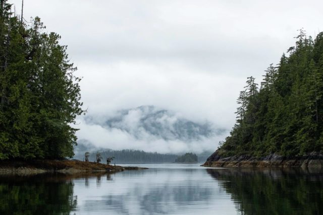 Packages | Wahous Wilderness Lodge